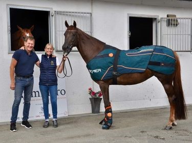 Veterinär/Med dr Lotta Wallin berättar om BEMER Horse set på sin ...